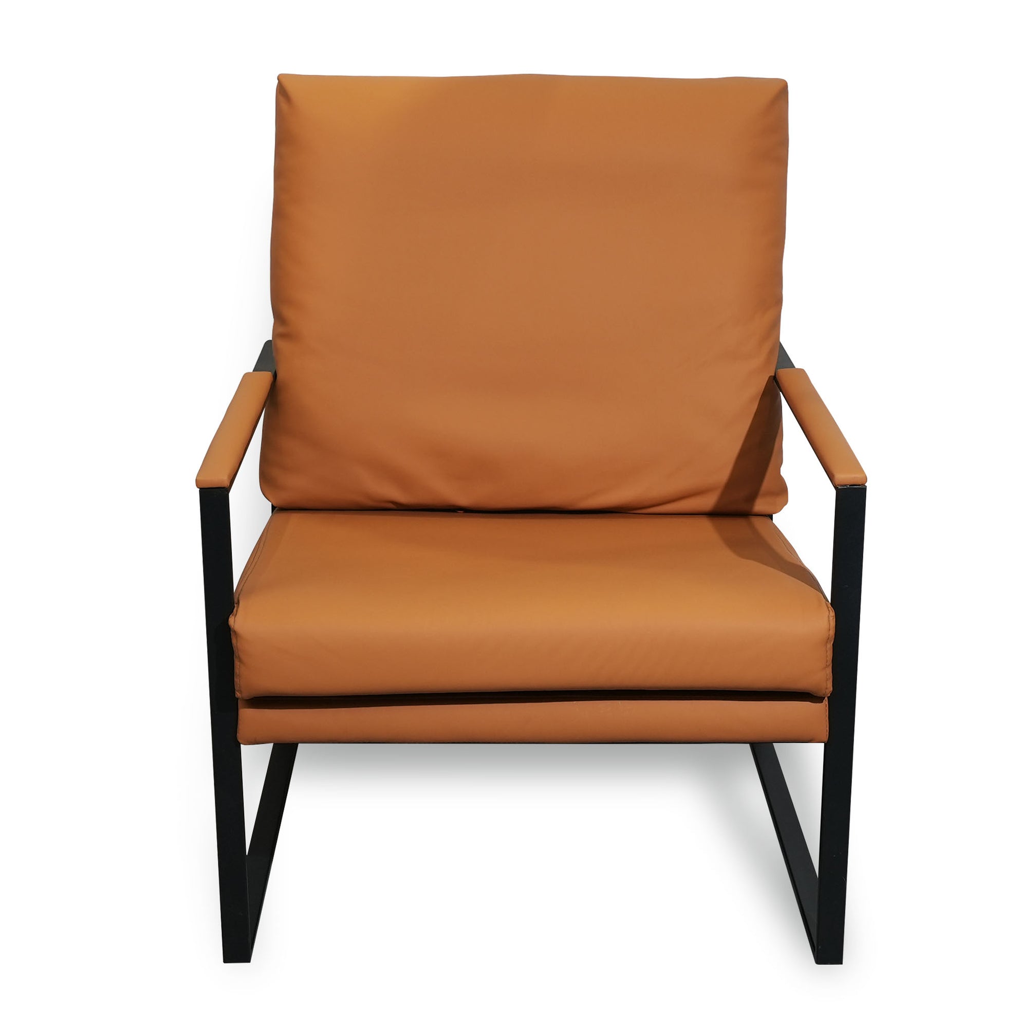 Armchair with Metal Frame